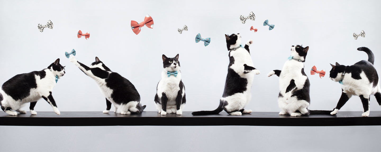 Sweet Pickles Designs