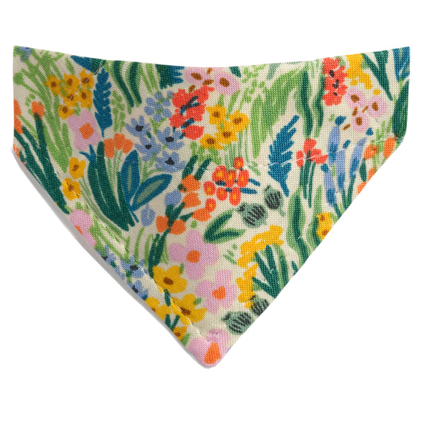 The Going Places - Cat / Small Dog Bandana – Sweet Pickles Designs